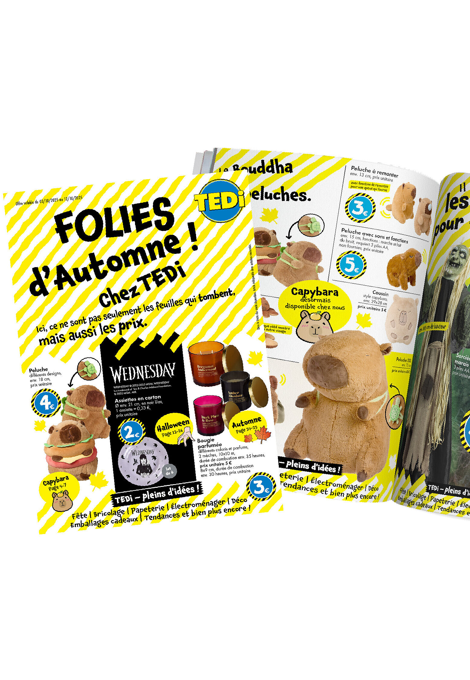 Page d'accueil: TEDi