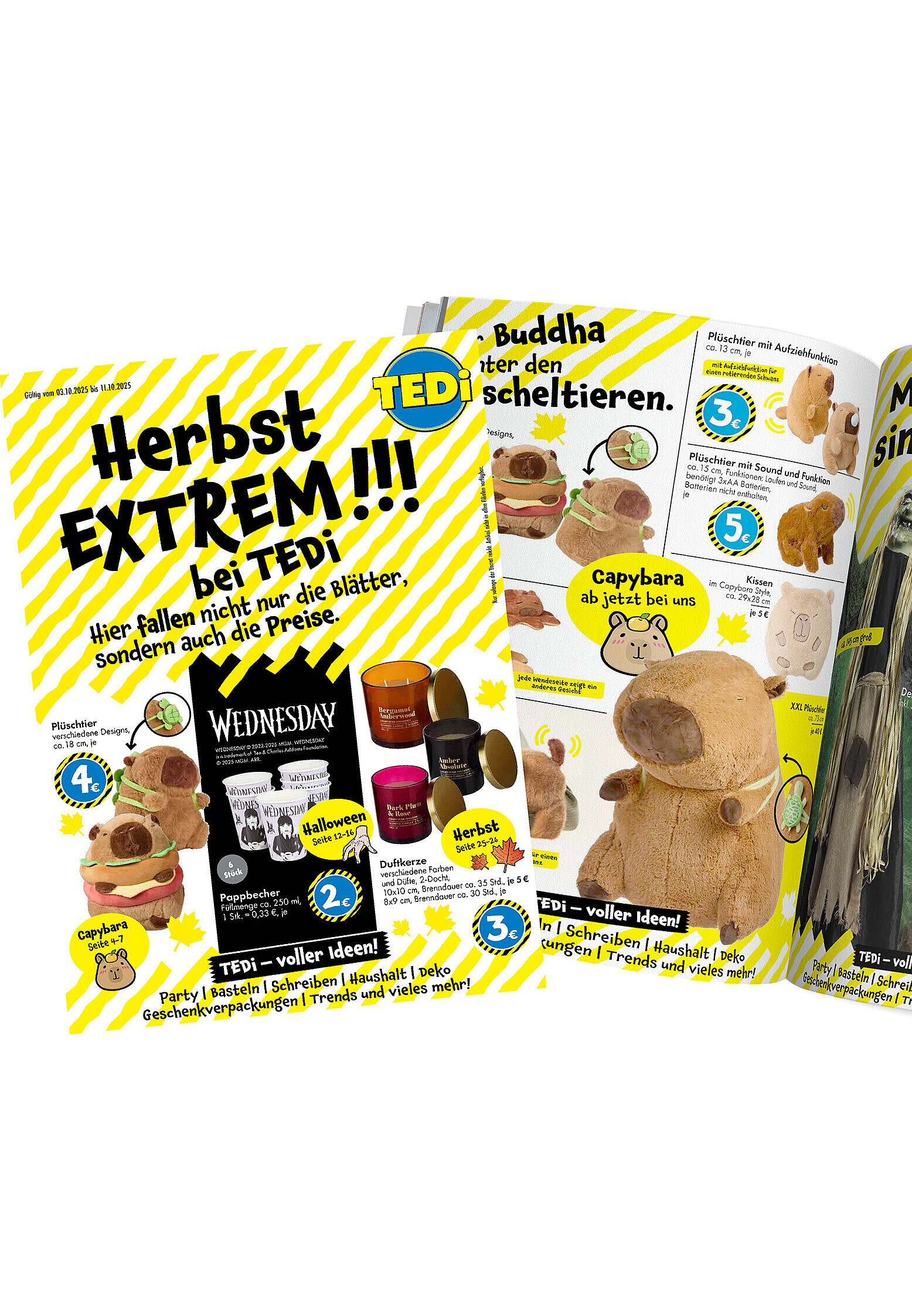 Startseite: TEDi