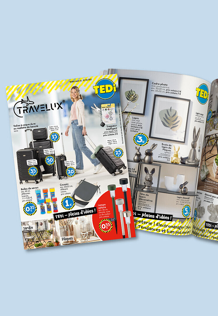 Page d'accueil: TEDi